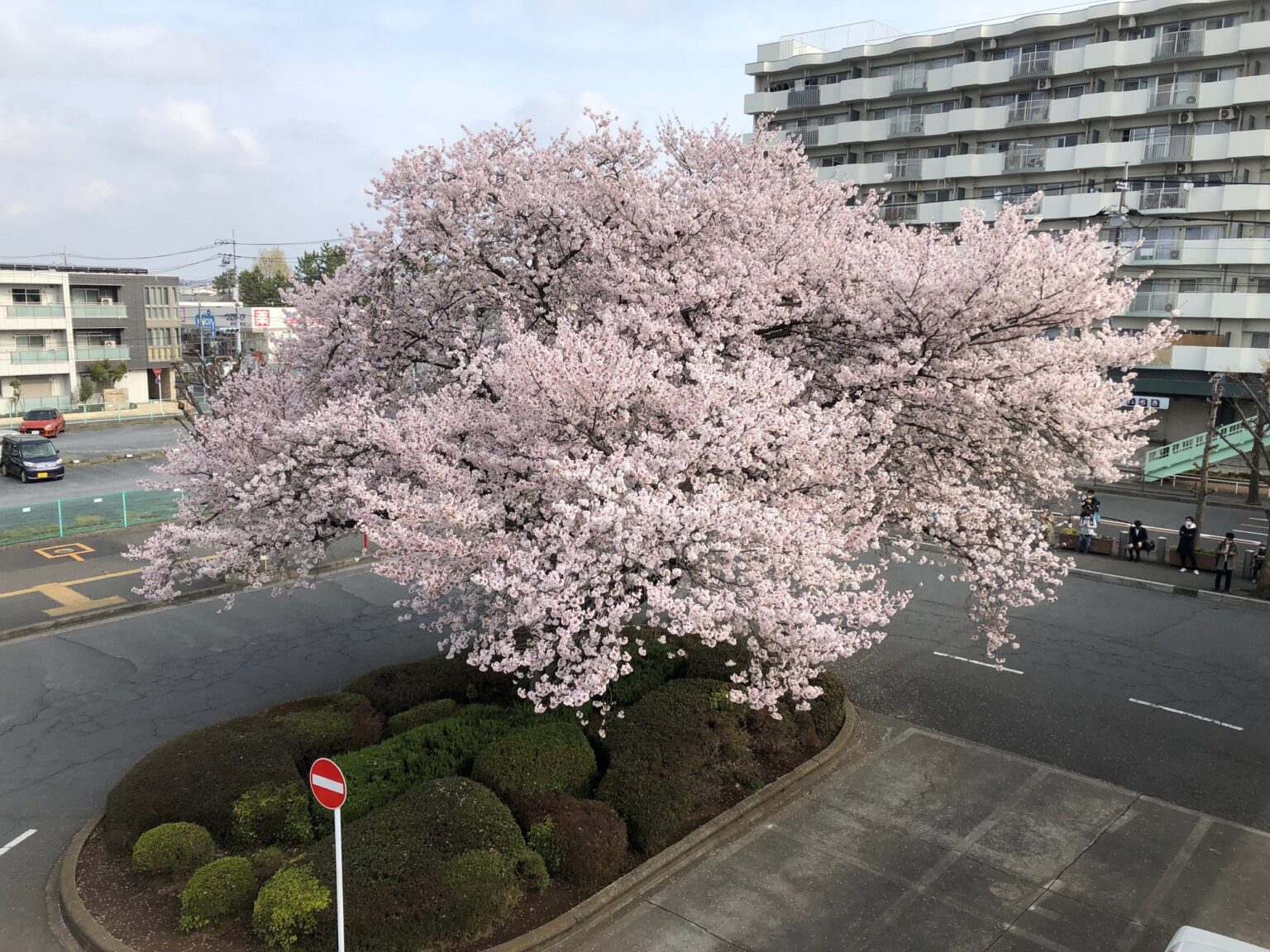 「WBC メキシコ戦を観て」 | たかしな司法書士事務所